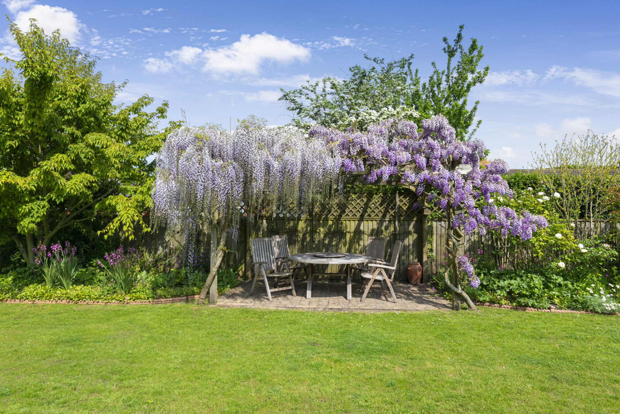 Spring Property Market Update | June 2024 | DOMVS Spring Property Market Update | June 2024 | DOMVS